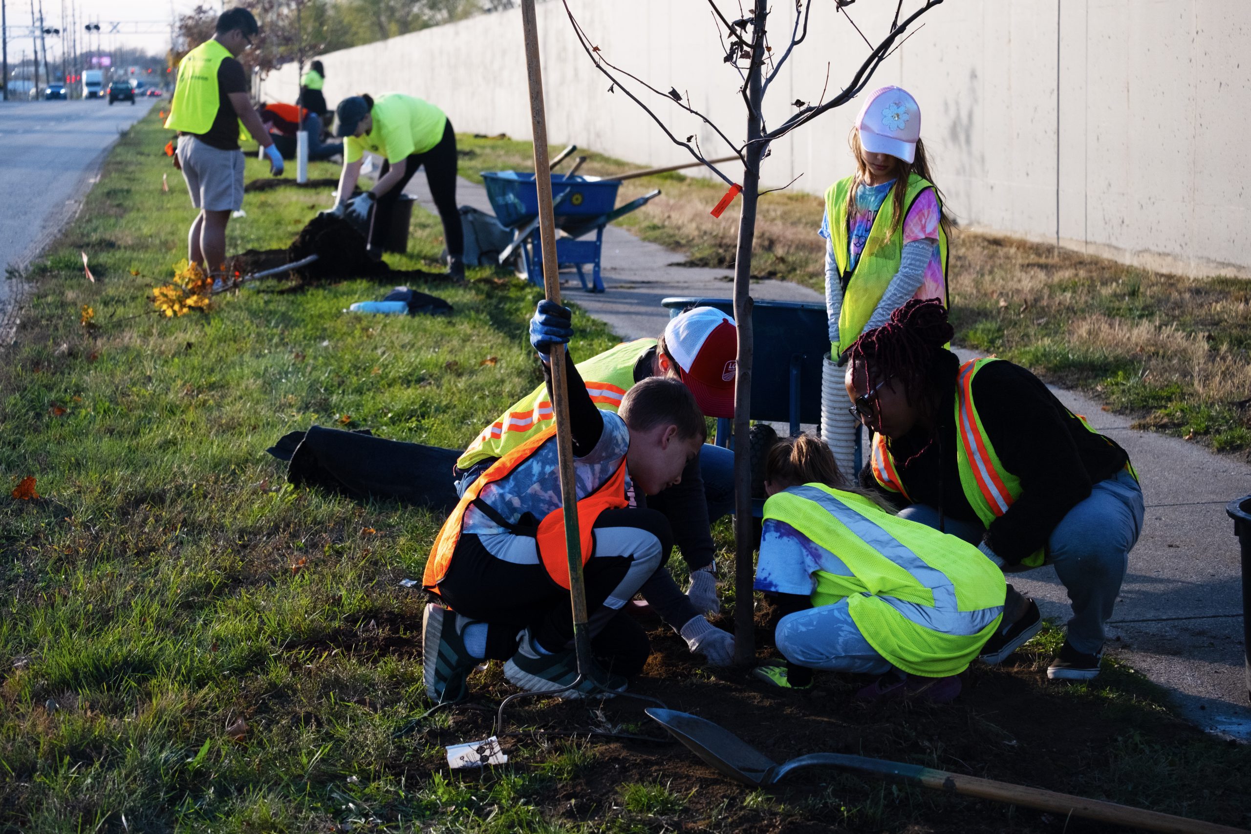Keep Indianapolis Beautiful plants dozens of trees in West Indy