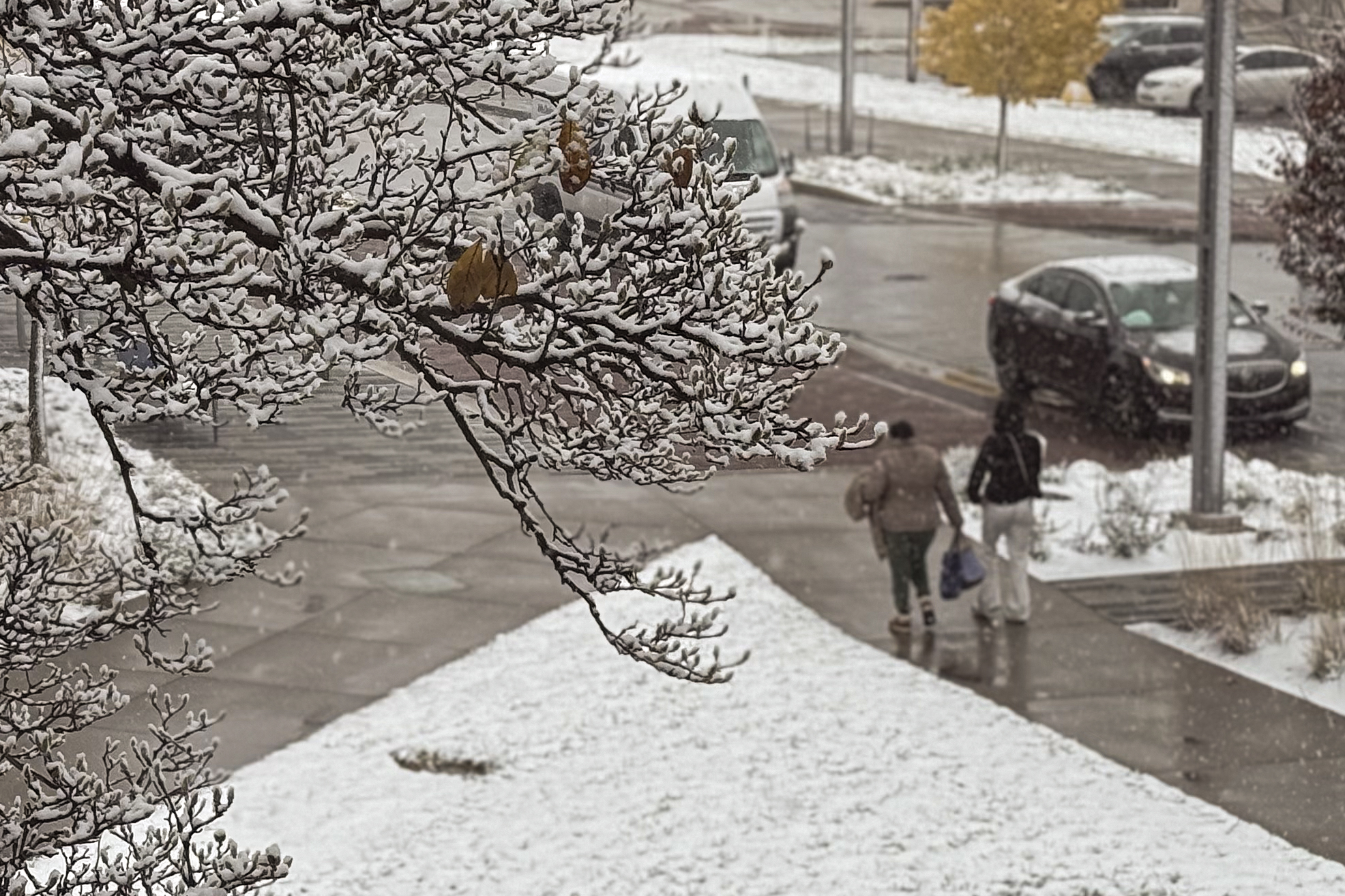 Send us your photos of the first snow in Indianapolis - Mirror Indy