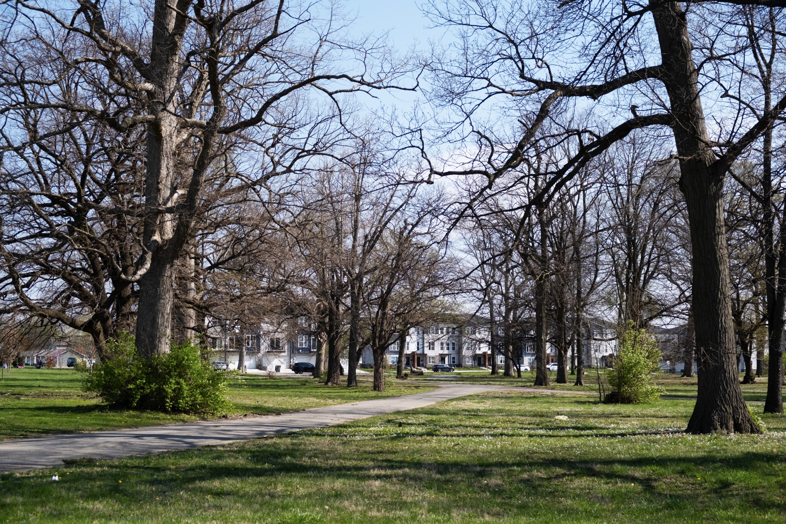Indianapolis officials to share new plans for Central State Grove