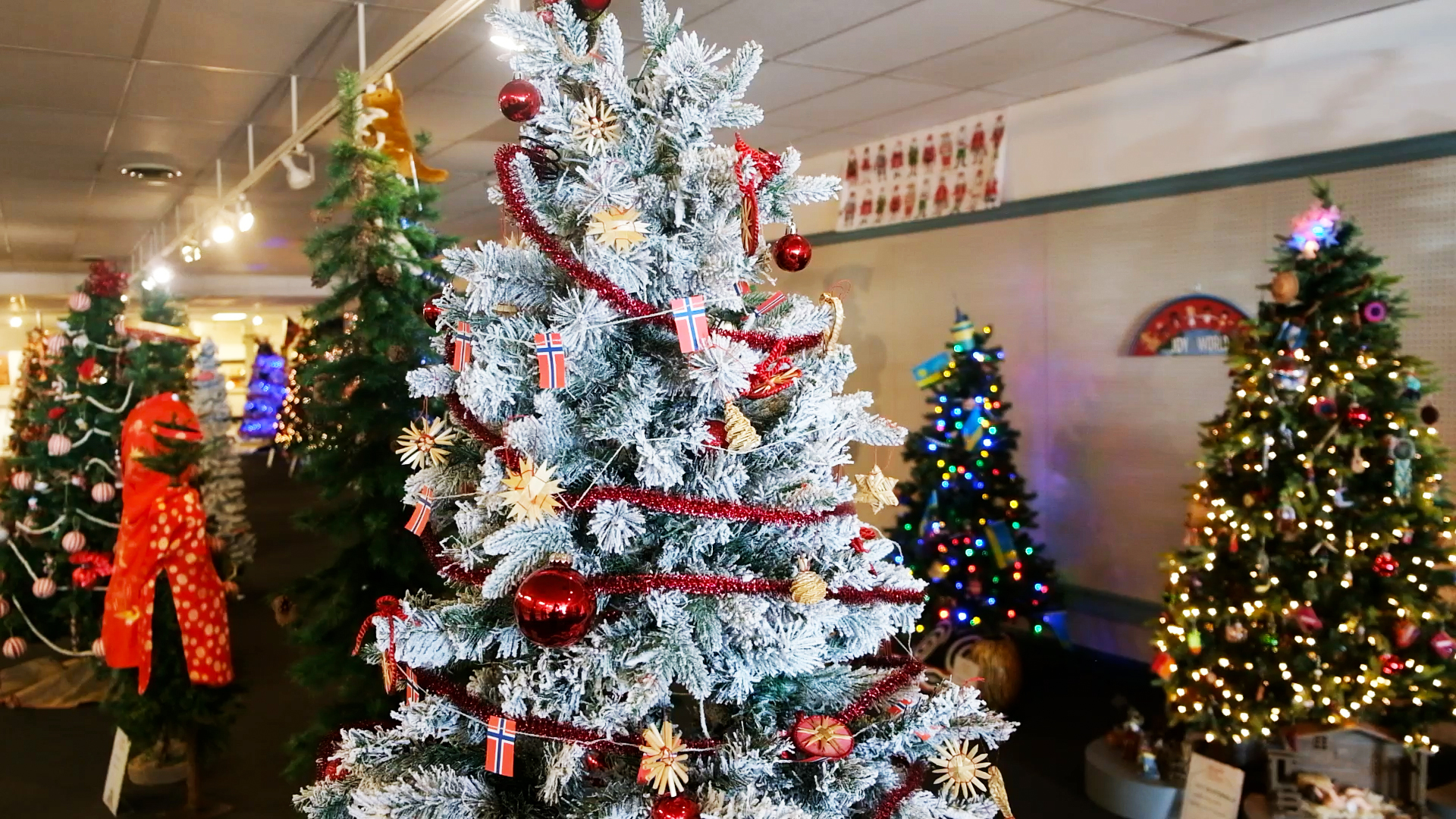 The World of Trees exhibit at Indy’s Global Village Museum