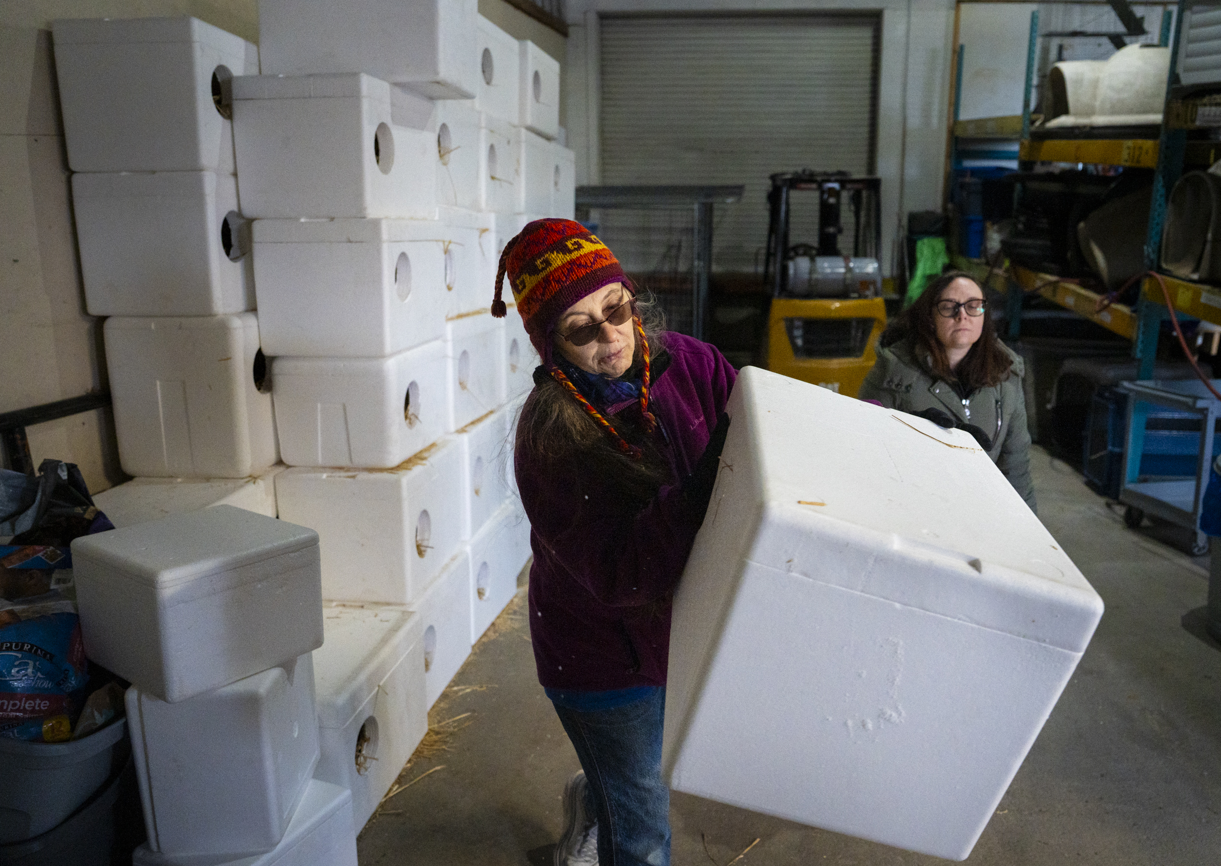 How to keep Indianapolis neighborhood cats warm this winter